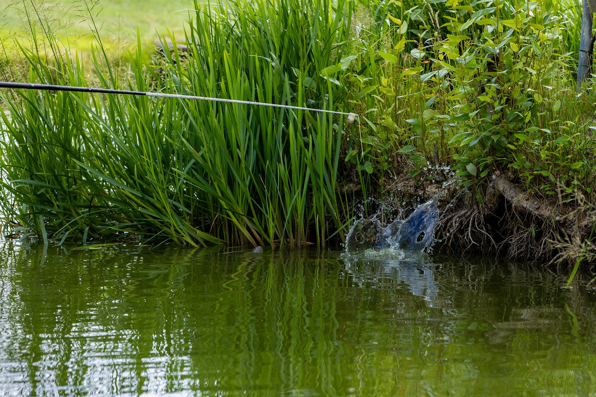 RW Floats – Match Focus